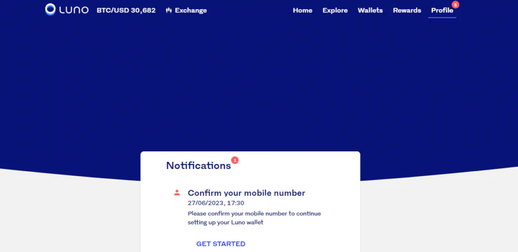 Luno Review: Fees, Pros, Cons and More (2025)