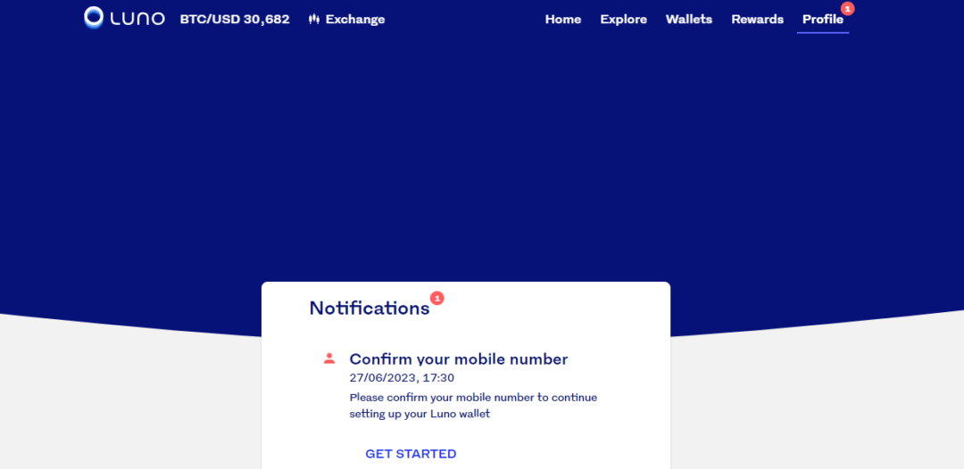 Luno Review: Fees, Pros, Cons and More (2025)