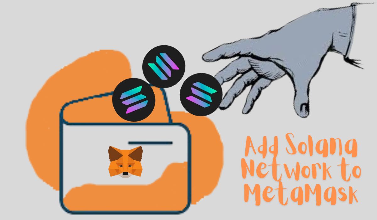 Add Solana Network to MetaMask: A Simple Guide - CryptoWinRate
