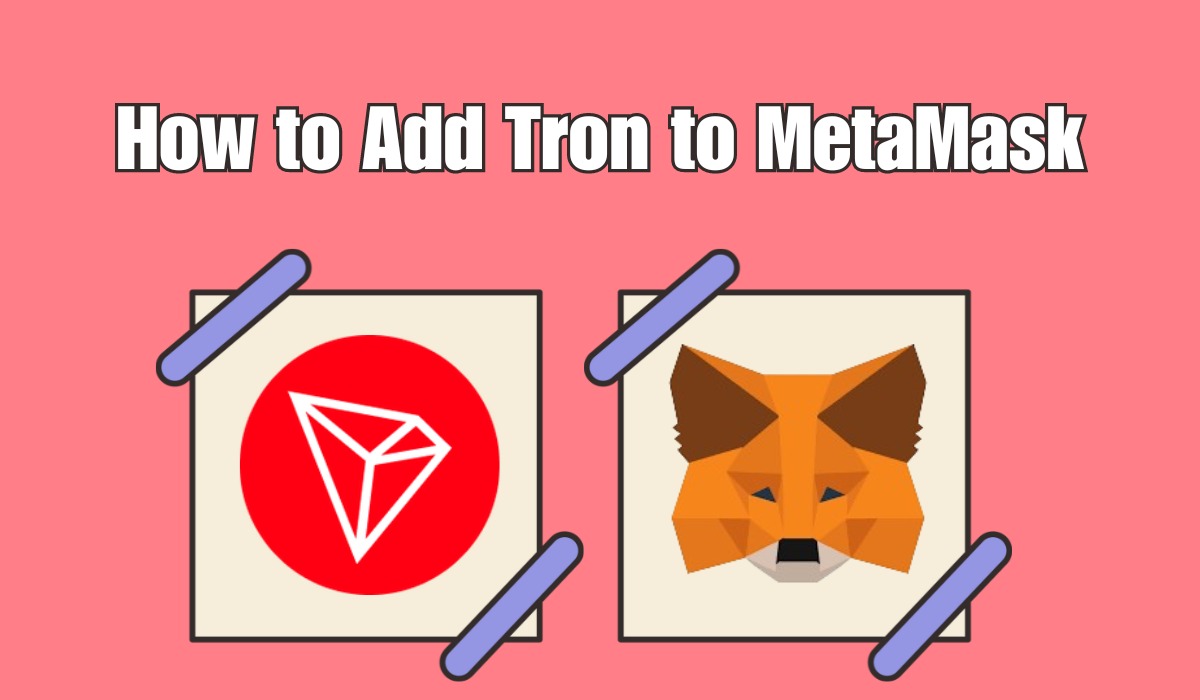 MetaMask에 Tron 네트워크를 추가하는 방법 - CryptoWinRate