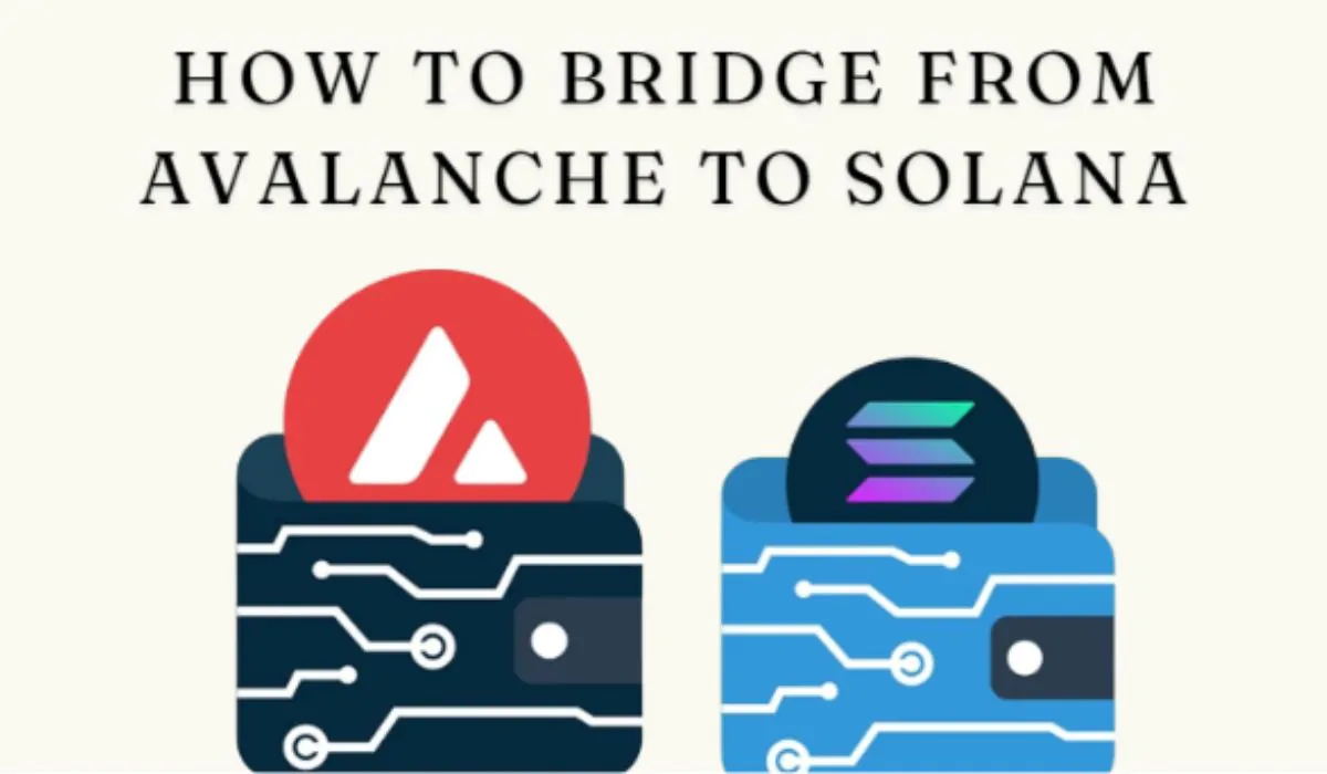 How to Bridge from Avalanche to Solana - CryptoWinRate