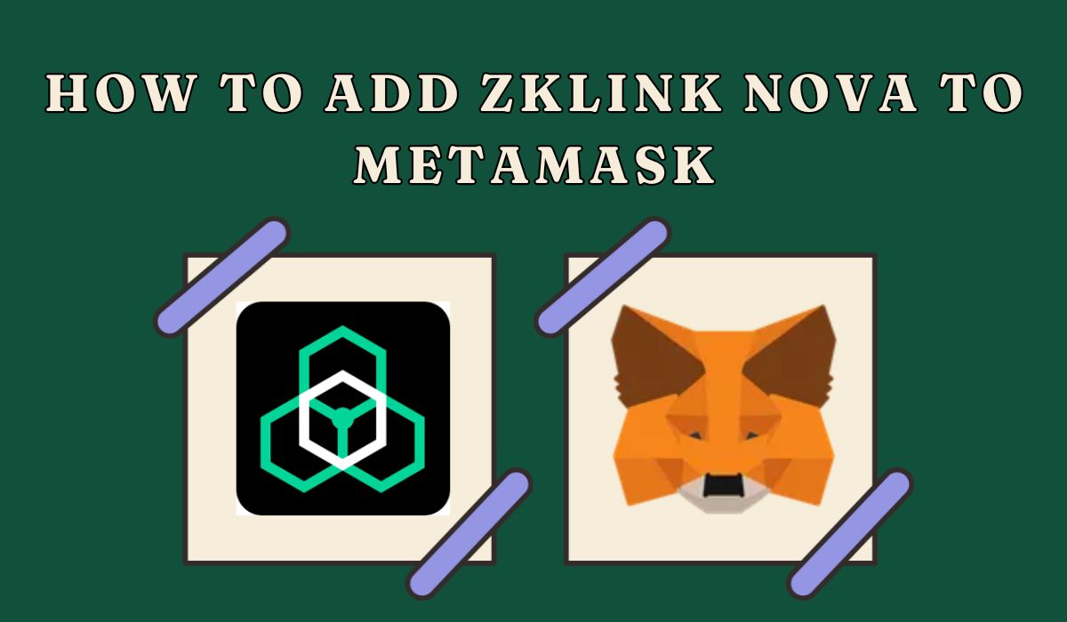 How to Use MetaMask Bridge: A Complete Tutorial - CryptoWinRate