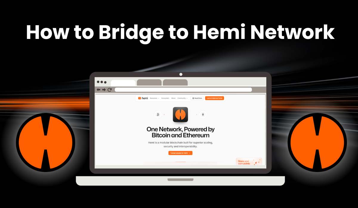 How to Bridge to Hemi Network