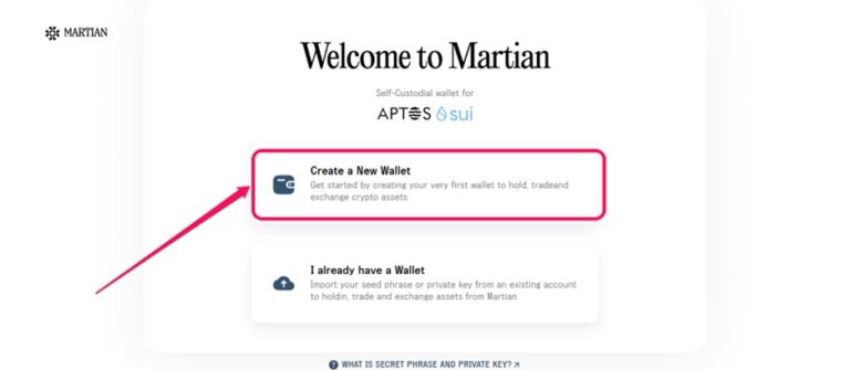 How to Get Started With Martian Wallet – Full Guide