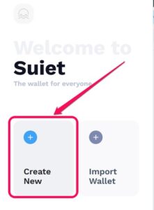 How to Get Started With Suiet – Complete Guide