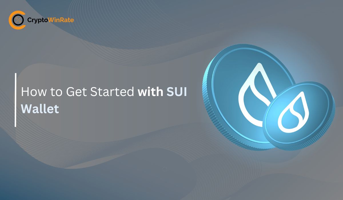 How to Get Started With SUI Wallet – Full Guide - CryptoWinRate