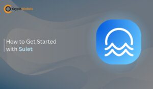 How to Get Started With Suiet – Complete Guide