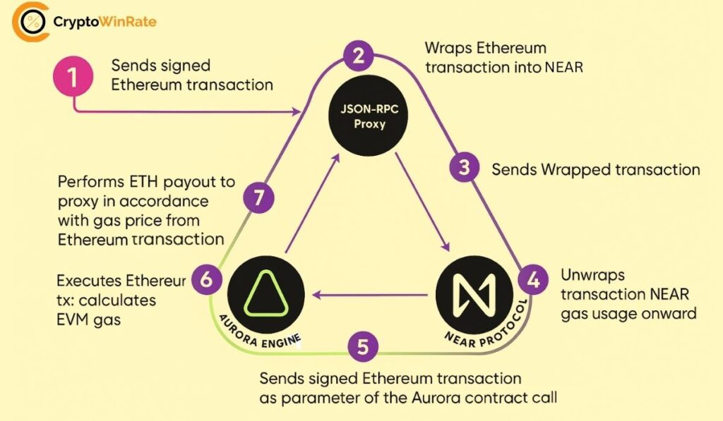 NEAR Protocol Explained: The AI-Ready Blockchain of 2025 - CryptoWinRate