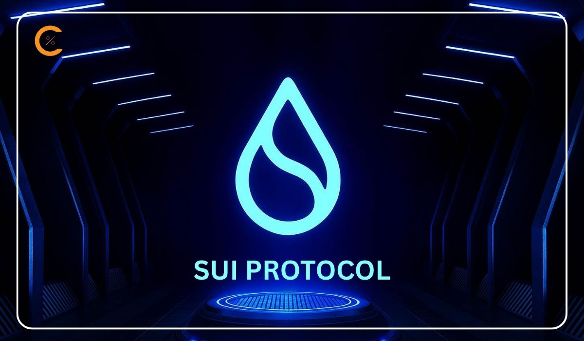 A Comprehensive Guide to What Is Sui Network