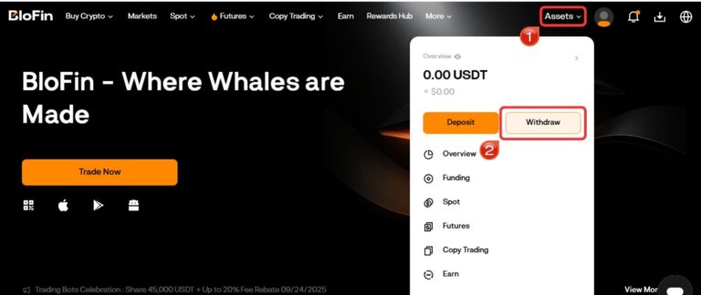 How to Make Deposits and Withdrawals on Aster DEX