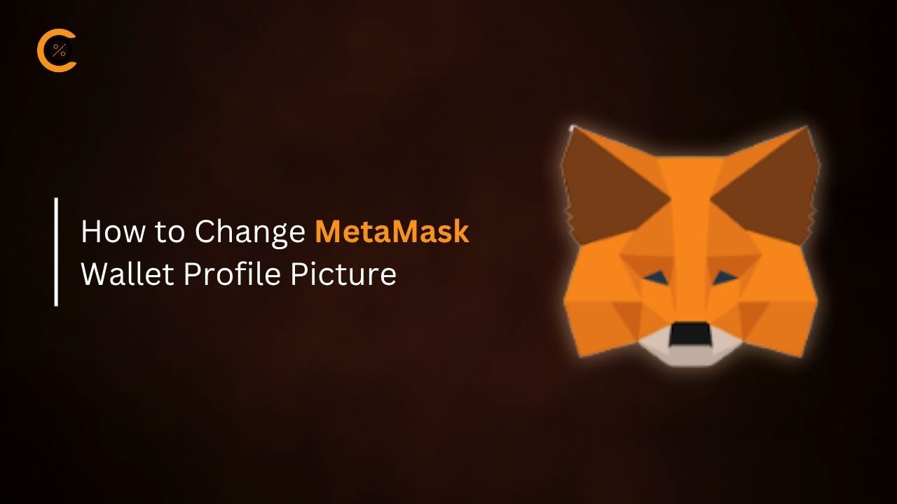 How to Change MetaMask Wallet Profile Picture – Simple Guide
