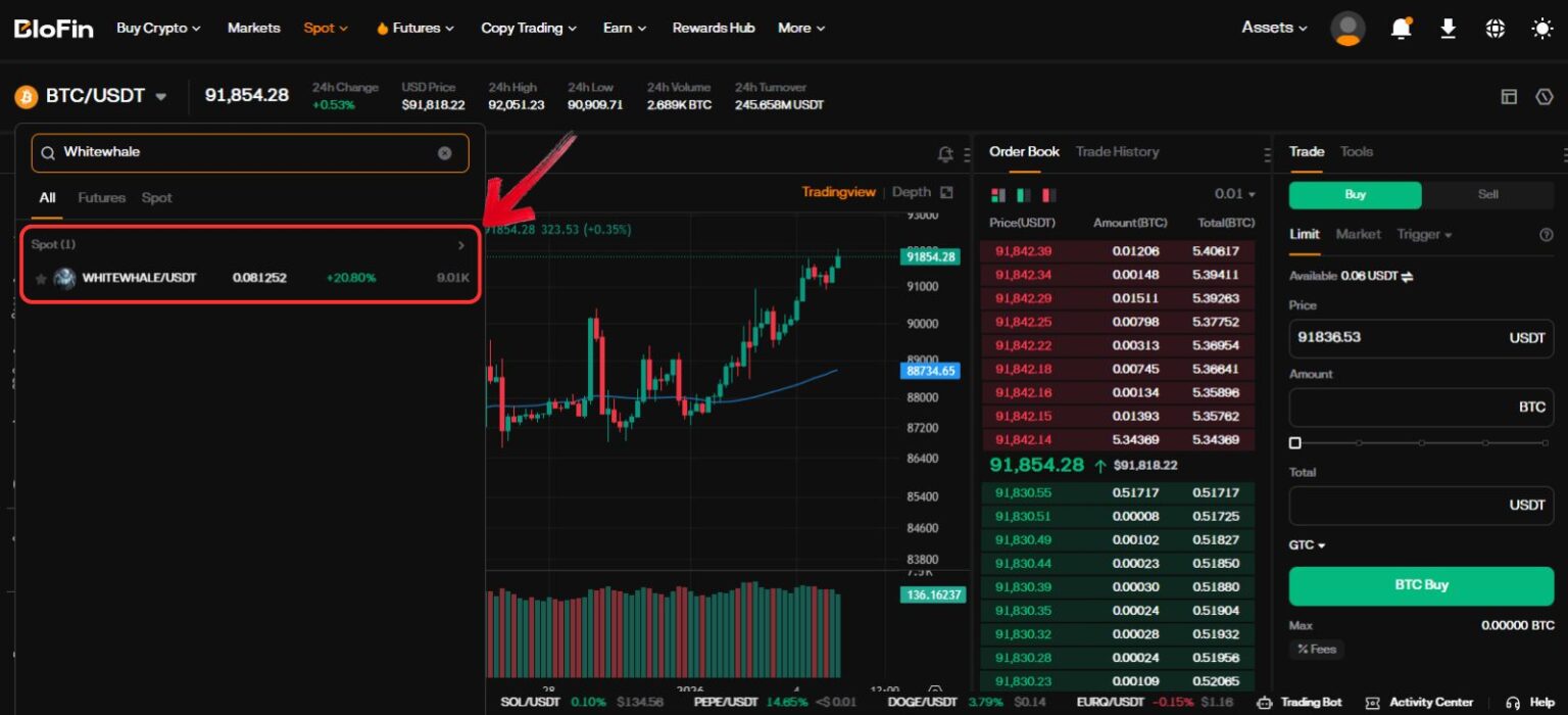 How to Buy the White Whale Token in 2026